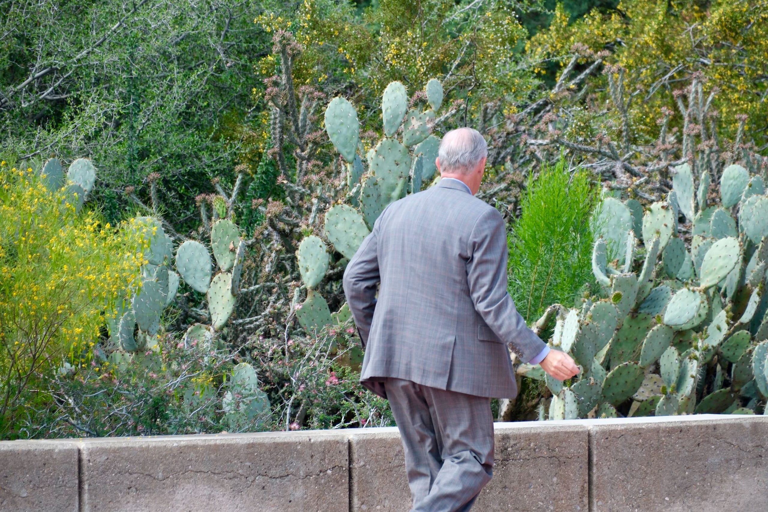 UA President Robert Robbins says he will resign - AZ Luminaria