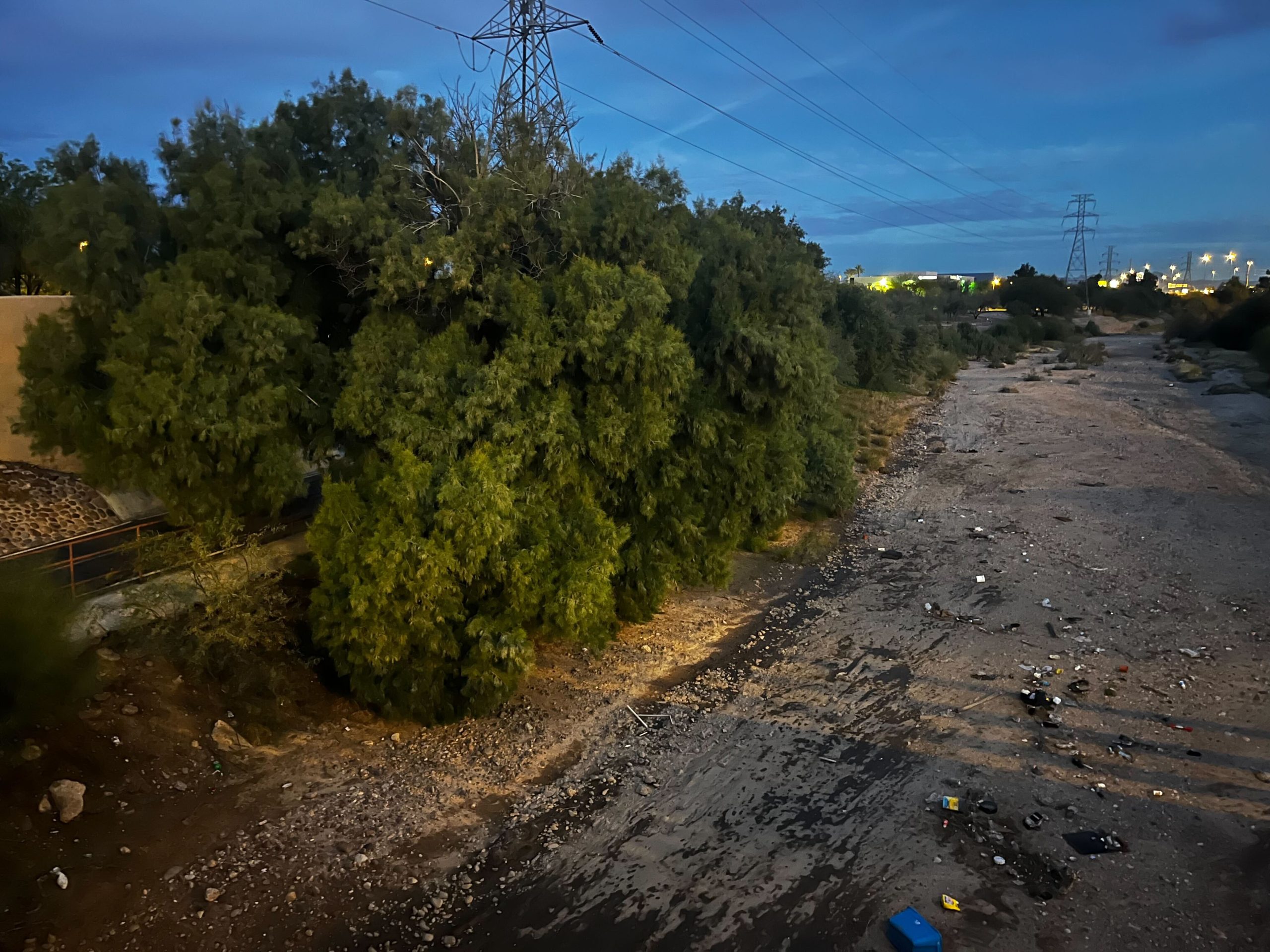 Point in Time Count 2026: Tracking homelessness across Tucson and Pima ...